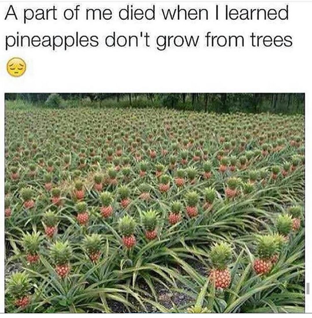 huh...??? - Meme by buzz17111 :) Memedroid