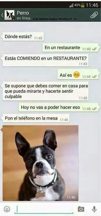 Jaaaaa - Meme by each01 :) Memedroid