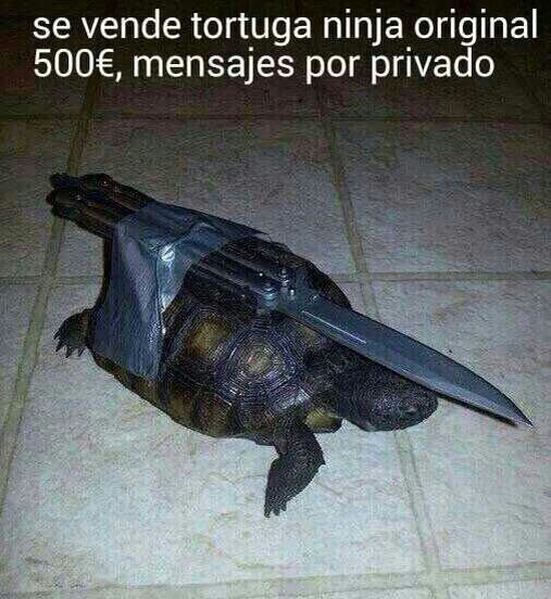 ninjas - Meme by cesarafro1 :) Memedroid