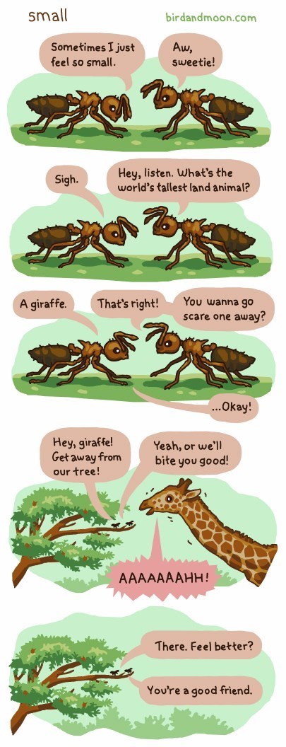 Does size matters - Meme by Godzilla1995 :) Memedroid