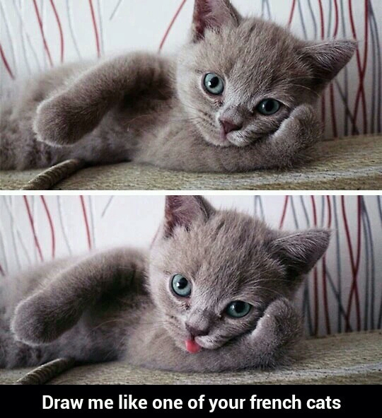 Kawaii - Meme by _funnyposts_ :) Memedroid