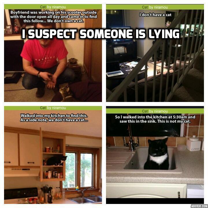 How do you mean? Posting the same damn thing over and over again - Meme ...