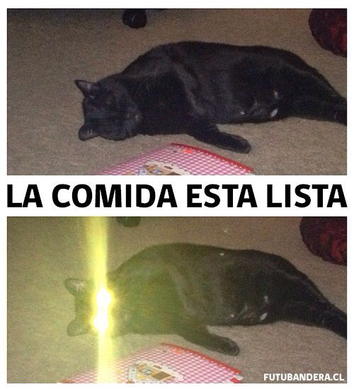 O cuando sientes olor a tostadas - Meme subido por Zkurtan :) Memedroid