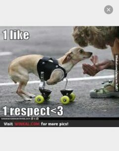 Respect - Meme subido por julian2002 :) Memedroid