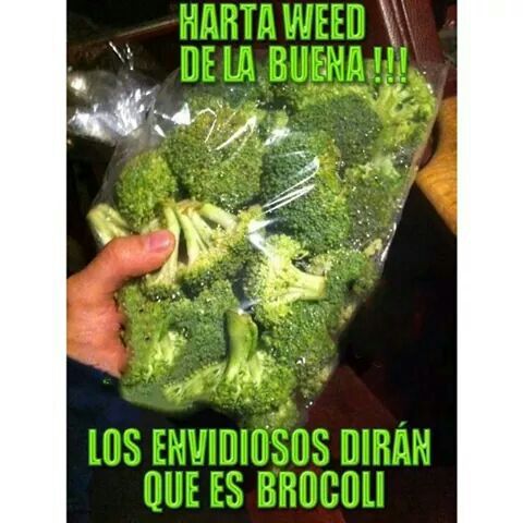 No es BROCOLI!! - Meme subido por KaRtoON :) Memedroid
