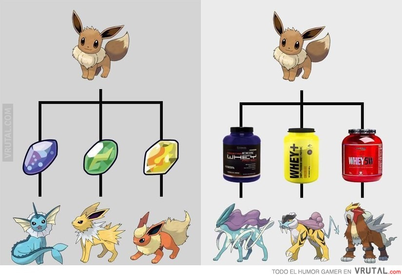 Eevee - Meme by mamaluigi :) Memedroid