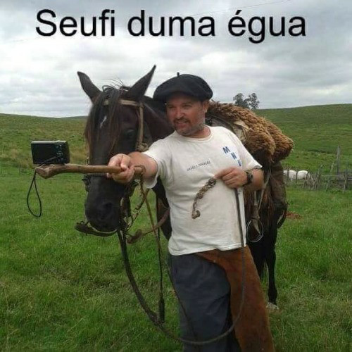 Selfie duma égua! Só pra vcs - Meme by brunomaciel874 :) Memedroid