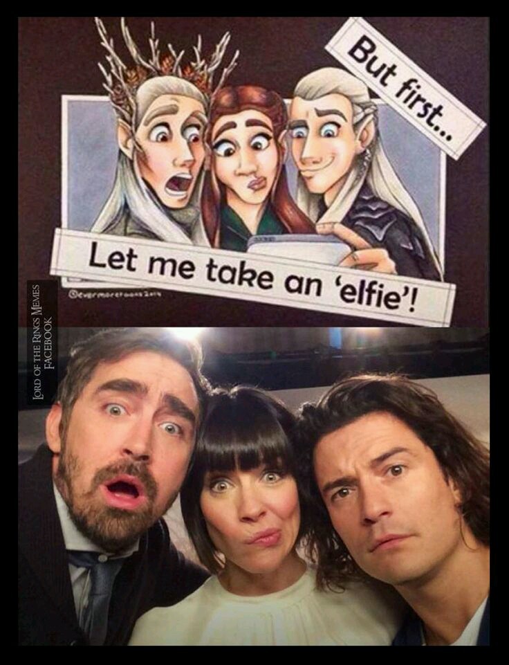 Elfie - Meme by paulaevertsz :) Memedroid