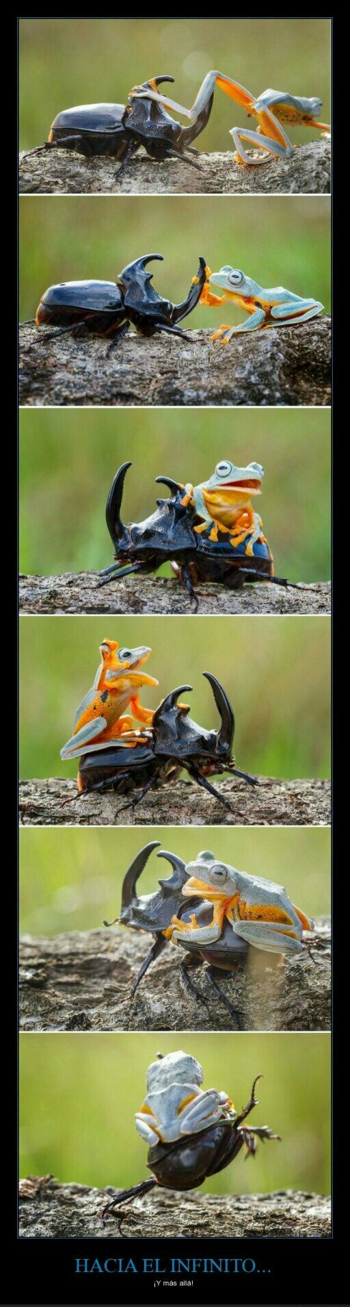 Top memes de Msnax en español :) Memedroid