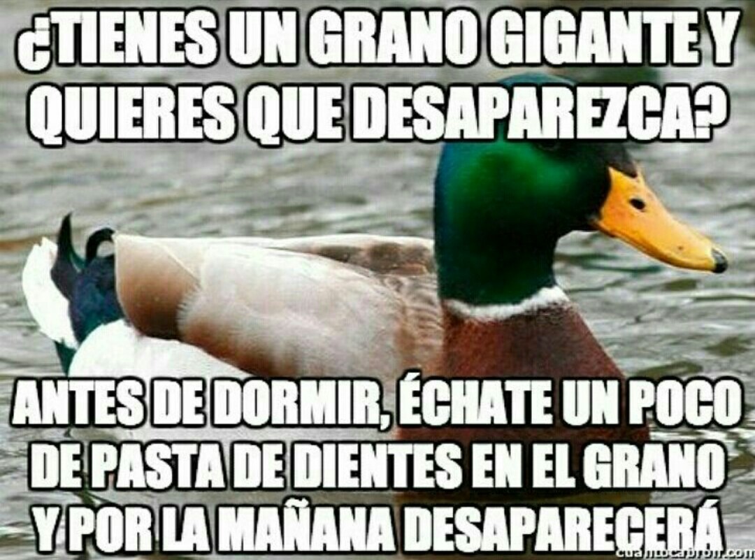 Para los granos (Sigueme y te sigo) - Meme subido por Kefaxo7 :) Memedroid
