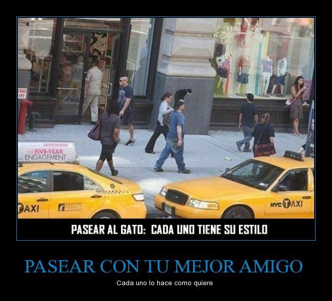 Pasear con sir gato - Meme by soydolphin :) Memedroid