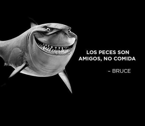 Bruce - Meme subido por alice7025 :) Memedroid