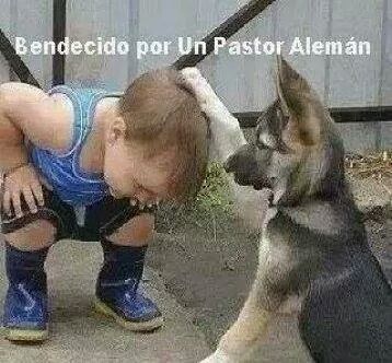 Bendecido - Meme subido por Jorckaef :) Memedroid