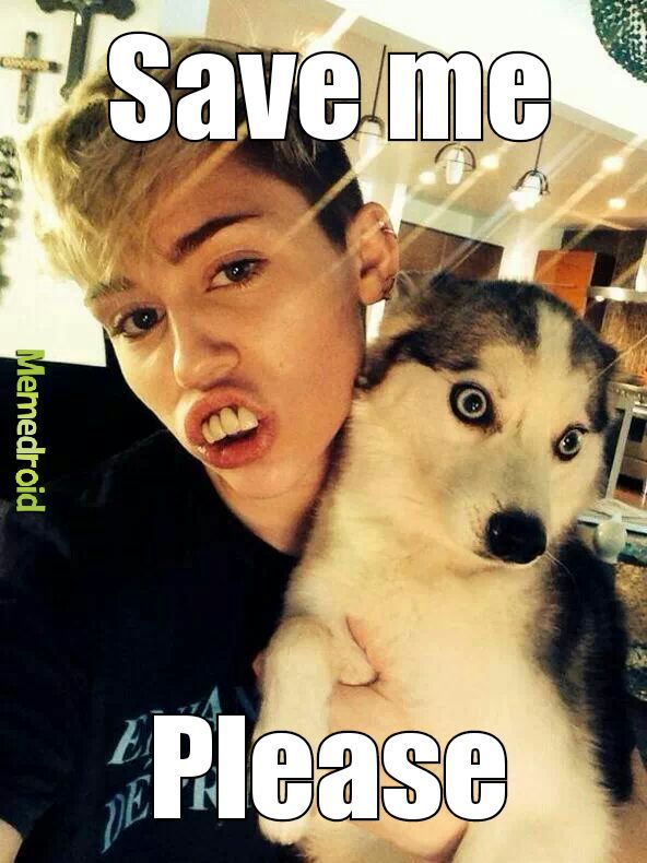 save me please - Meme by ferransg10 :) Memedroid