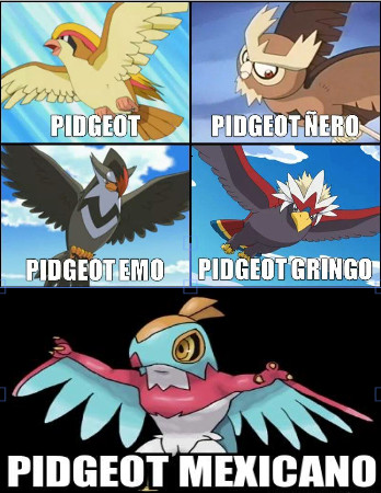 Pidgeot Memes Fanpage | 🚨 Pokémon Fans, Let's Talk About TIME