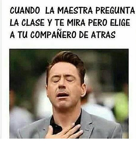 Poco Memes 47 Chihuahua Memes That Will Have You LOLing Great Pet