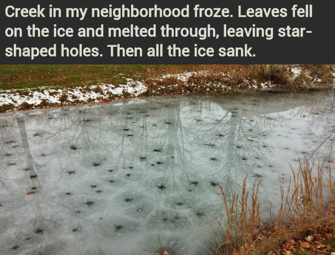 Iceholes - Meme by soydolphin :) Memedroid
