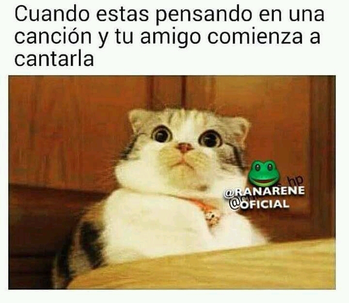 Da Fack? - Meme by Old-Owl :) Memedroid