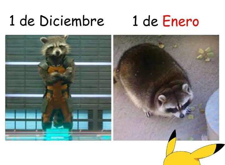 El título se lo tragó el mapache... - Meme subido por ElChicoMaggot ...