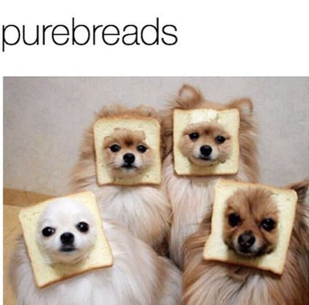 Purple Sprite - Meme by PINGUINO_EL8 :) Memedroid