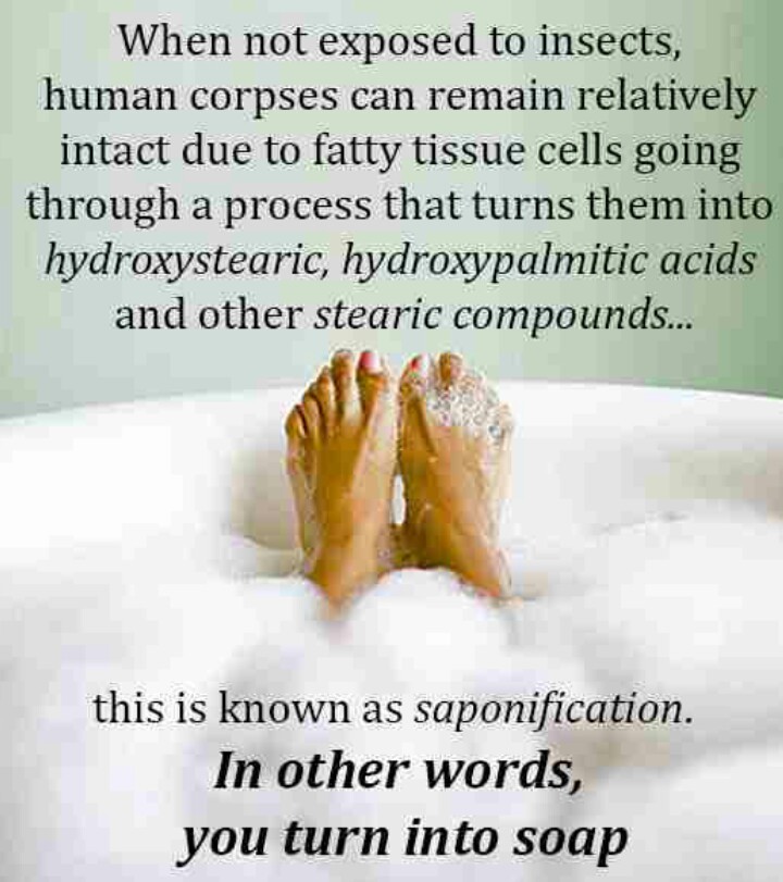 And that's how they make soaps. - Meme by sahilcham :) Memedroid