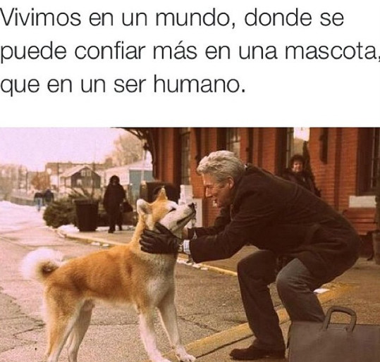 Si es verdad - Meme by javier_abuawad :) Memedroid