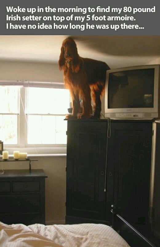 Day 3 .....still unnoticed - Meme by Guny :) Memedroid