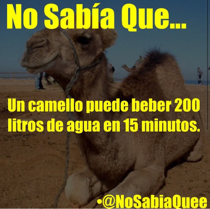 Alaa - Meme subido por Victor16 :) Memedroid