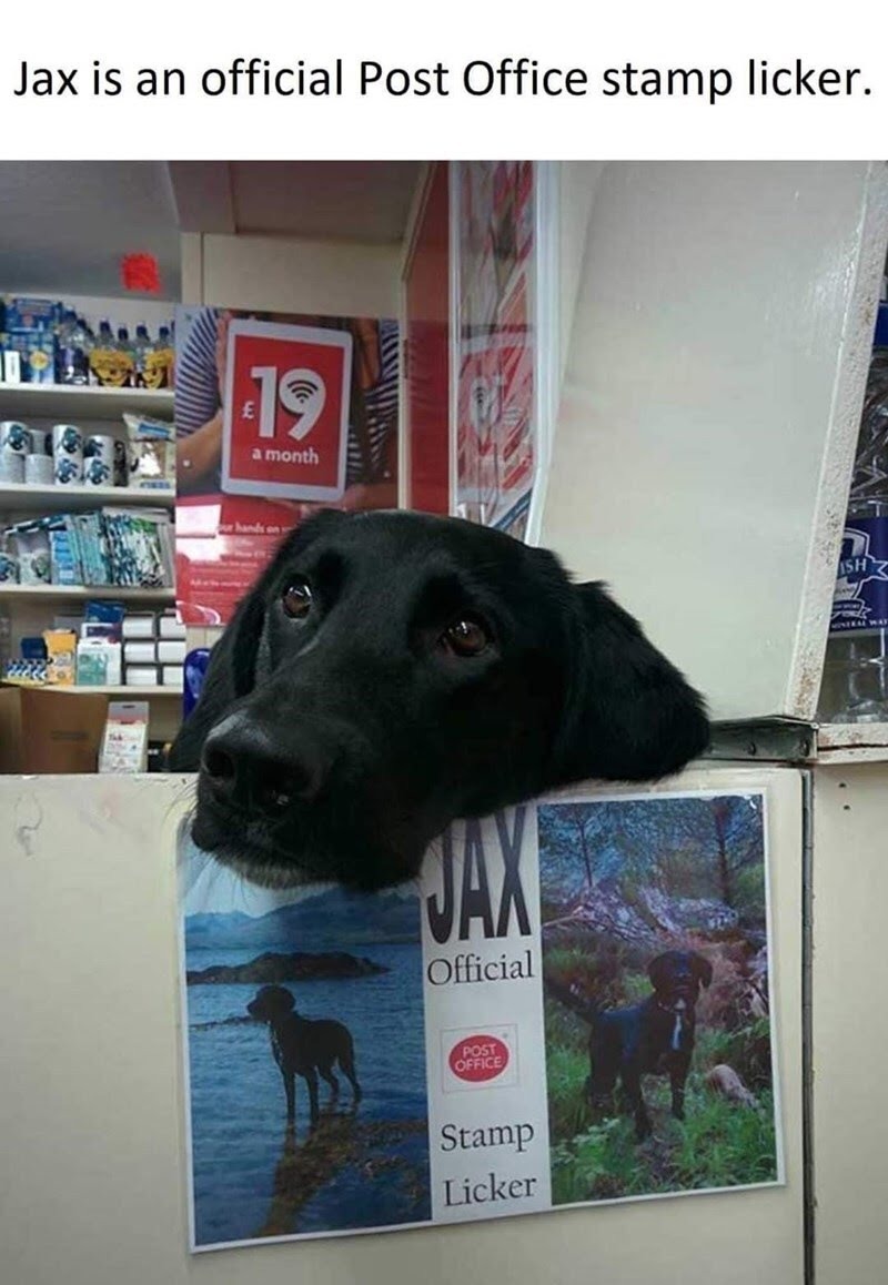 Best one we have - Meme by Scoots291 :) Memedroid