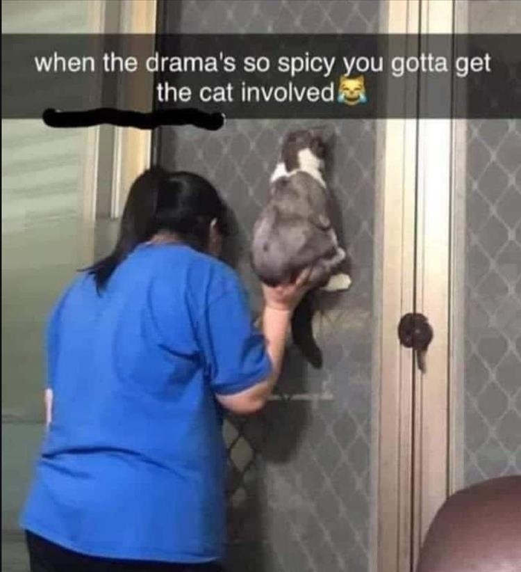 The best Drama memes :) Memedroid