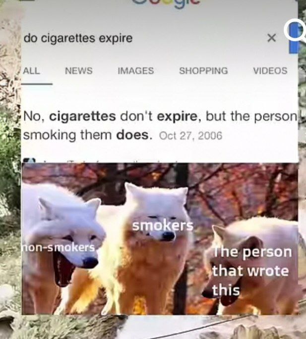 The best Smoking memes :) Memedroid