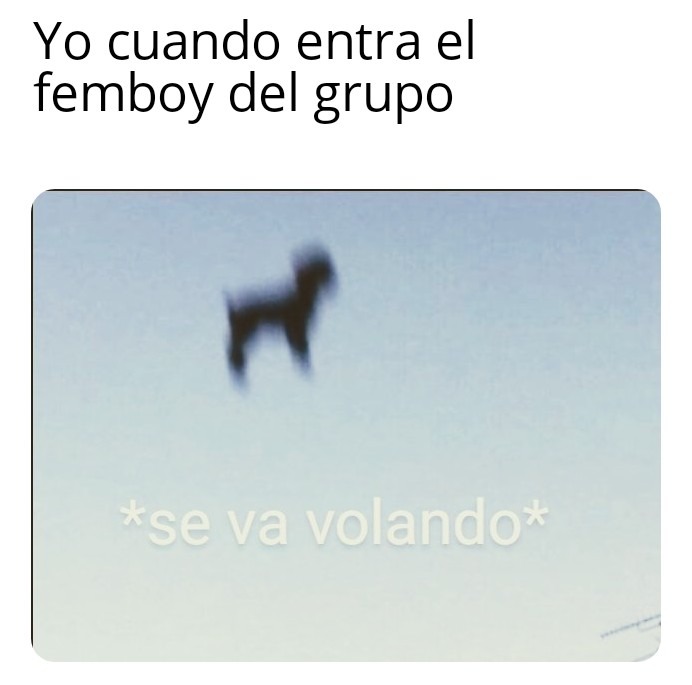 putos femboys - Meme subido por Marty007 :) Memedroid