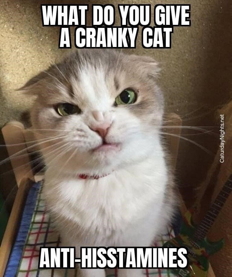 Latest memes / New memes :) Memedroid