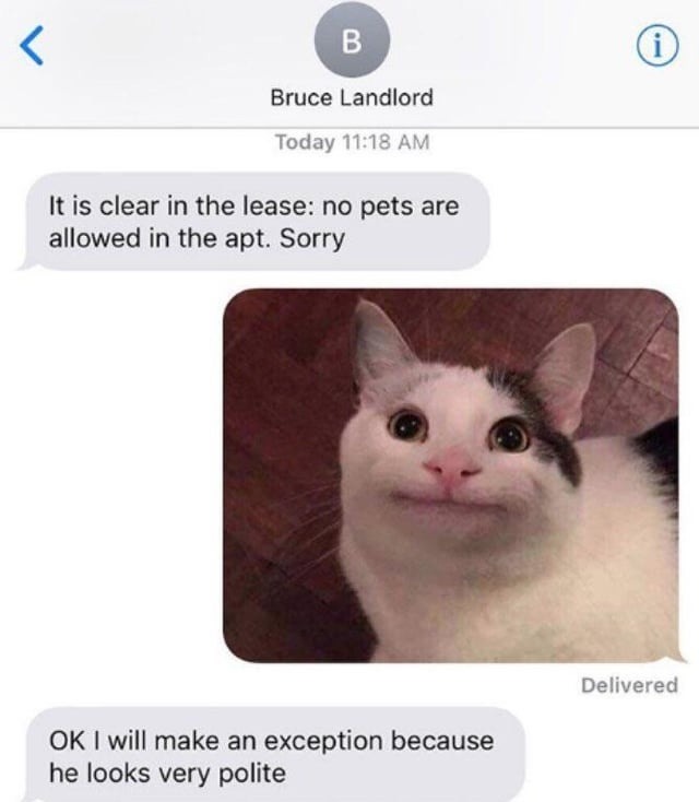 The best Rent memes :) Memedroid