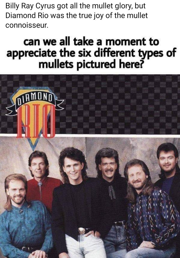 The mullet is the only legitimate hairstyle - Meme by brbrdeng :) Memedroid