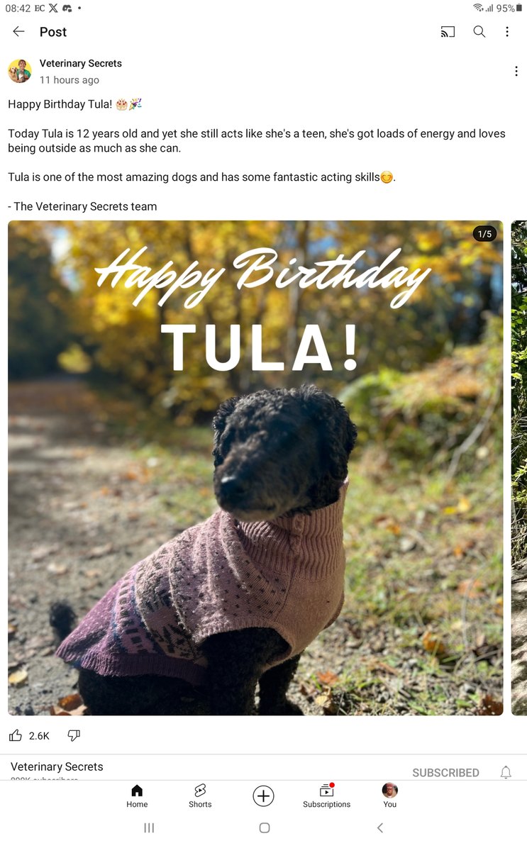 Los Últimos Memes :) Memedroid