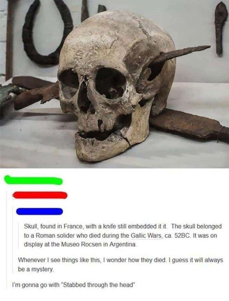 The best Skull memes :) Memedroid