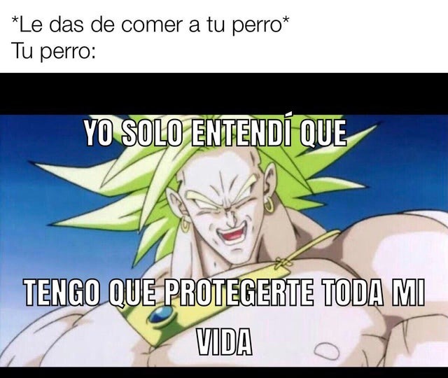 Así son los perros - Meme by Alextrex10 :) Memedroid