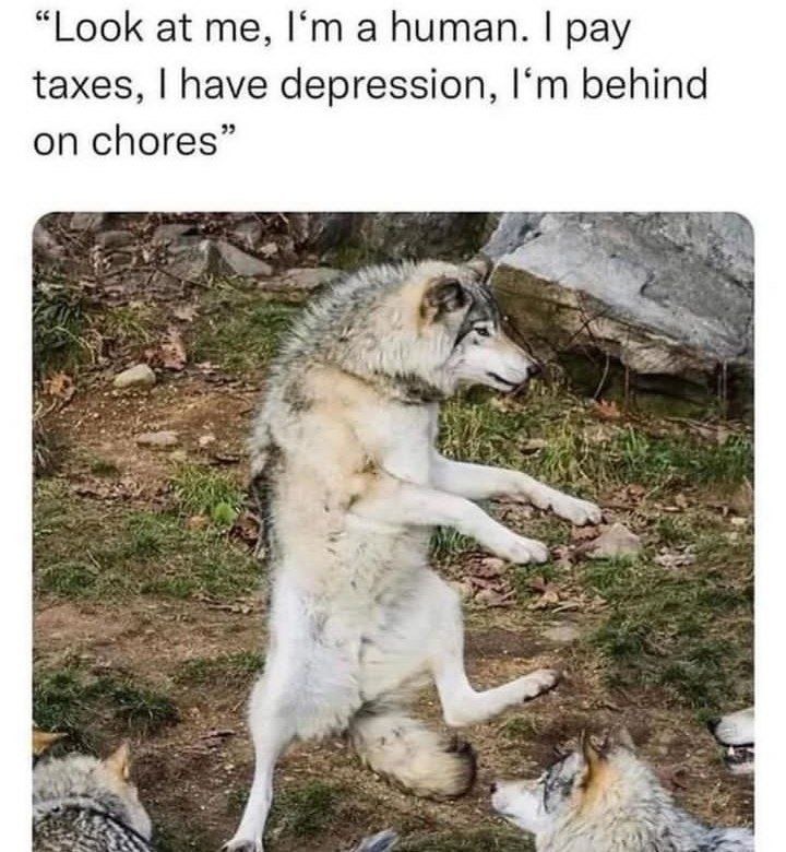 Imitação de ser humano - Meme by mestre_templario :) Memedroid