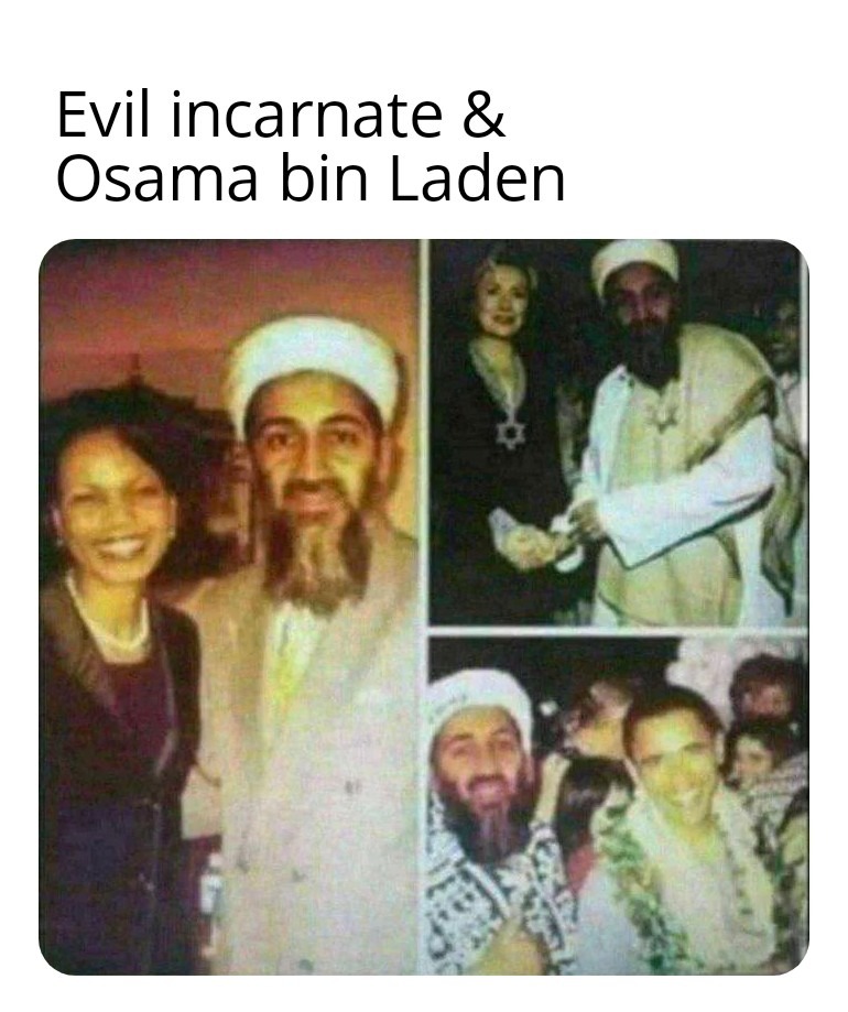 The Latest Memes :) Memedroid