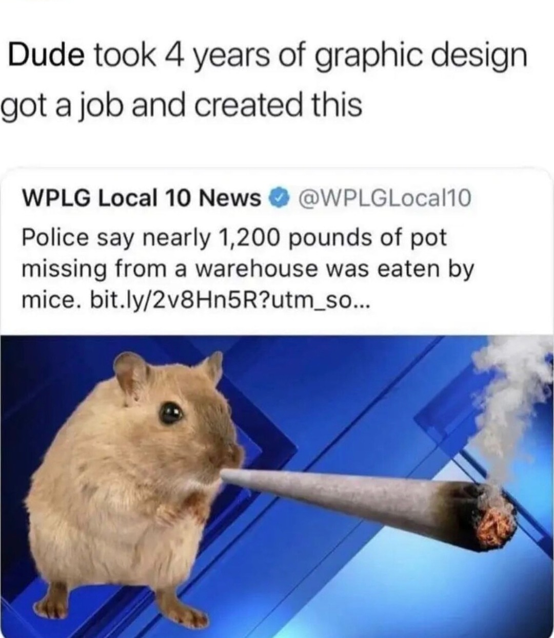 The best Mice memes :) Memedroid