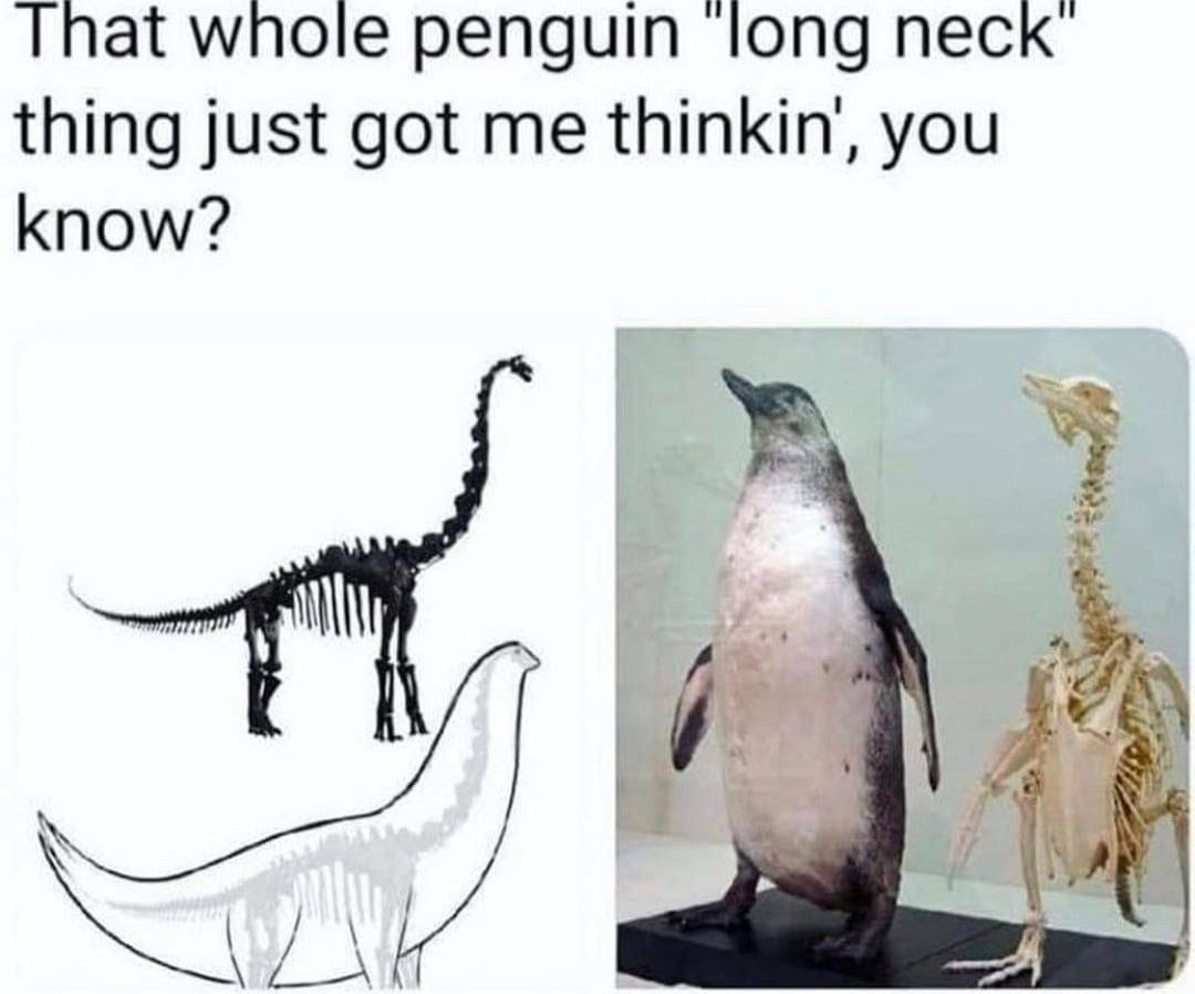 The Best Thinking Memes :) Memedroid