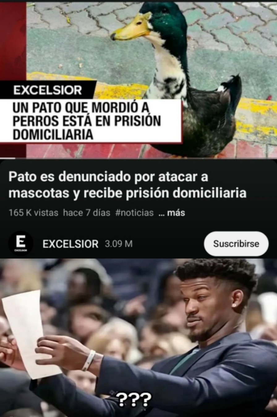 Pico De Pato Memes