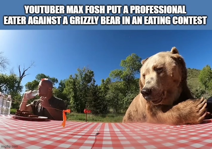 The best Bear memes :) Memedroid