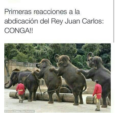 conga! - Meme subido por almixord :) Memedroid