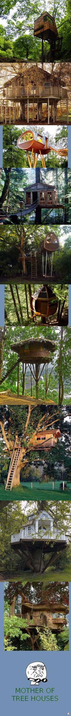 Epic tree house - Meme subido por Mateo123456789-- :) Memedroid