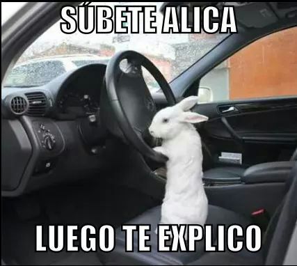 luego te explico.... - Meme subido por aliiturralde :) Memedroid