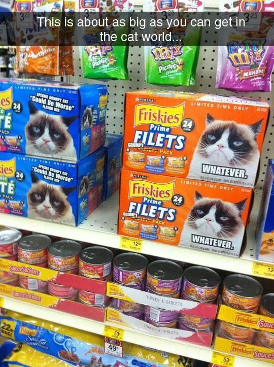 Well he's at the top - Meme subido por reconbyfire19 :) Memedroid