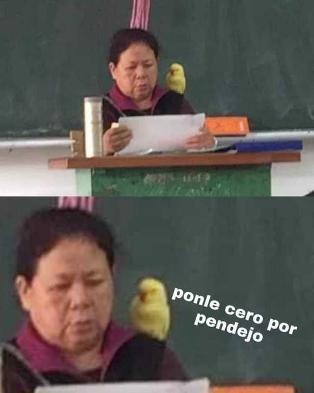 Top memes de Ayudas Porbafor en español :) Memedroid