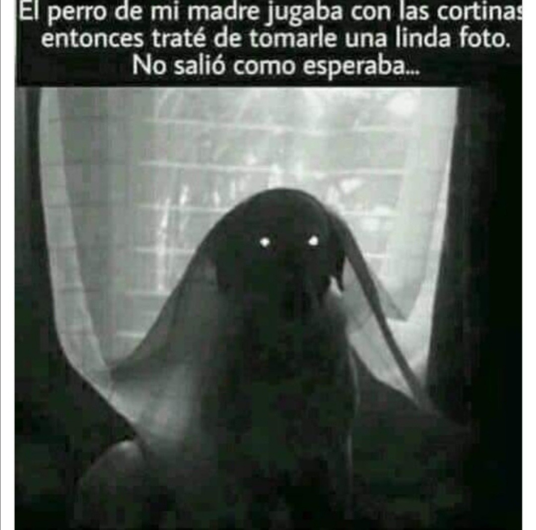 Me encontré esta imagen random en mi galería - Meme subido por ...